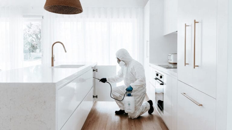 Pest Control Service SEQ | From $99 | The 99 People
